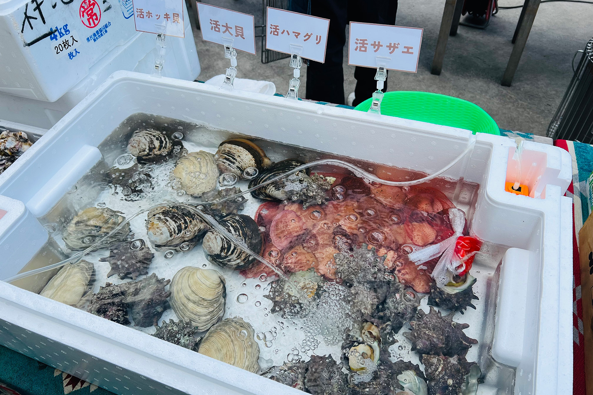 1日限りの贅沢体験！ズワイガニのガンガン焼きを限定販売＆相生産牡蠣の食べ放題を特別価格で提供 – 大蔵海岸BBQ ZAZAZA